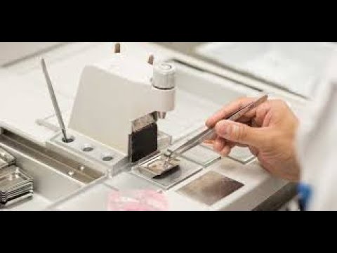 Surgical pathology CPT codes - simplify medical coding