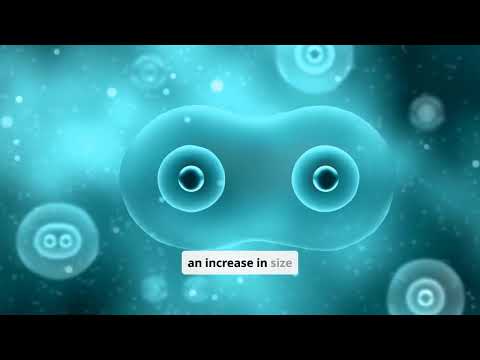 Characteristics of Life: What Defines a Living Organism in Biology (U.S. Curriculum) #biology