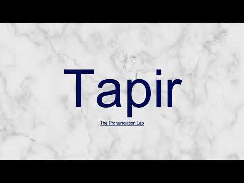 Tapir Pronunciation: How to Say Tapir | How to Pronounce Tapir? #howtopronounce