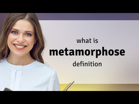 Metamorphose | definition of METAMORPHOSE