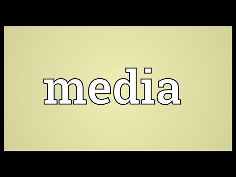 Media Meaning