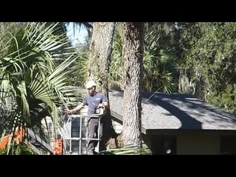 Tree Removal with Crane - Kevin's Tree Service