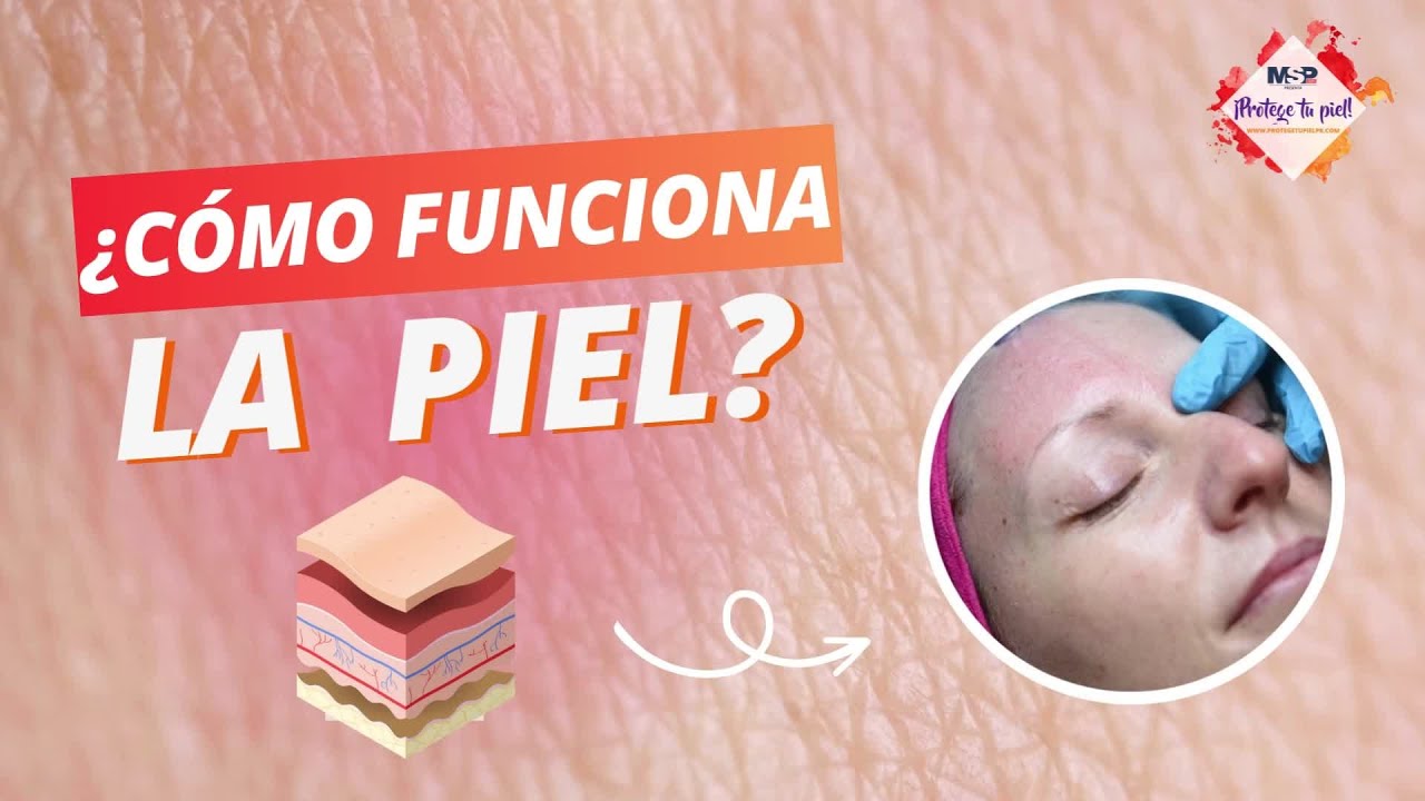 ¿Cómo funciona la piel y todas sus capas? - #ExclusivoMSP