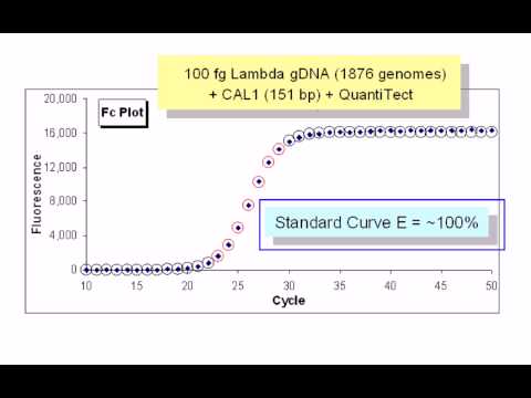 LRE qPCR Overview Part 1-Origins and Implementation
