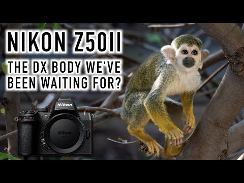 Nikon Z50 II: Mature DX body (1784)