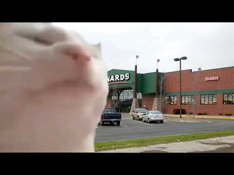 Cat Vibing to the Menard's theme