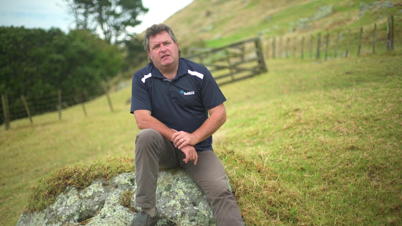 Mineral requirements when feeding fodder beet