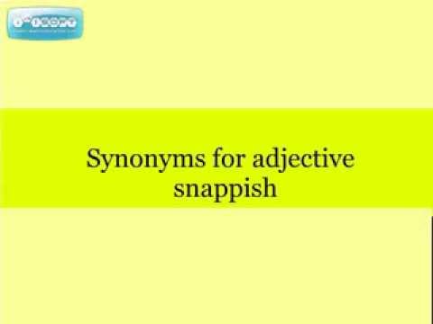 Synonyms for adjective snappish