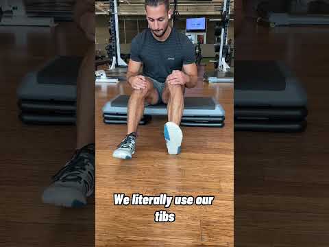 Why Train Your Tibs?