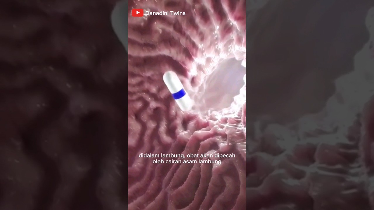 perjalanan obat dalam tubuh #mekanismeobat #farmakologi