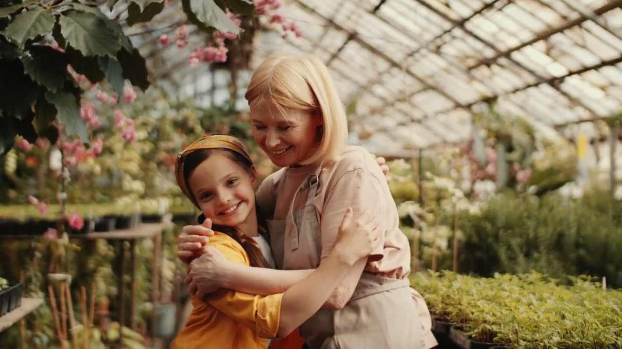 Alive Bible Study by Lifeway Women | Growing In Your Relationship with Jesus