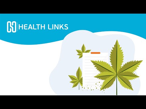 Cannabis in the Workplace: What Employers and Employees Need to Know