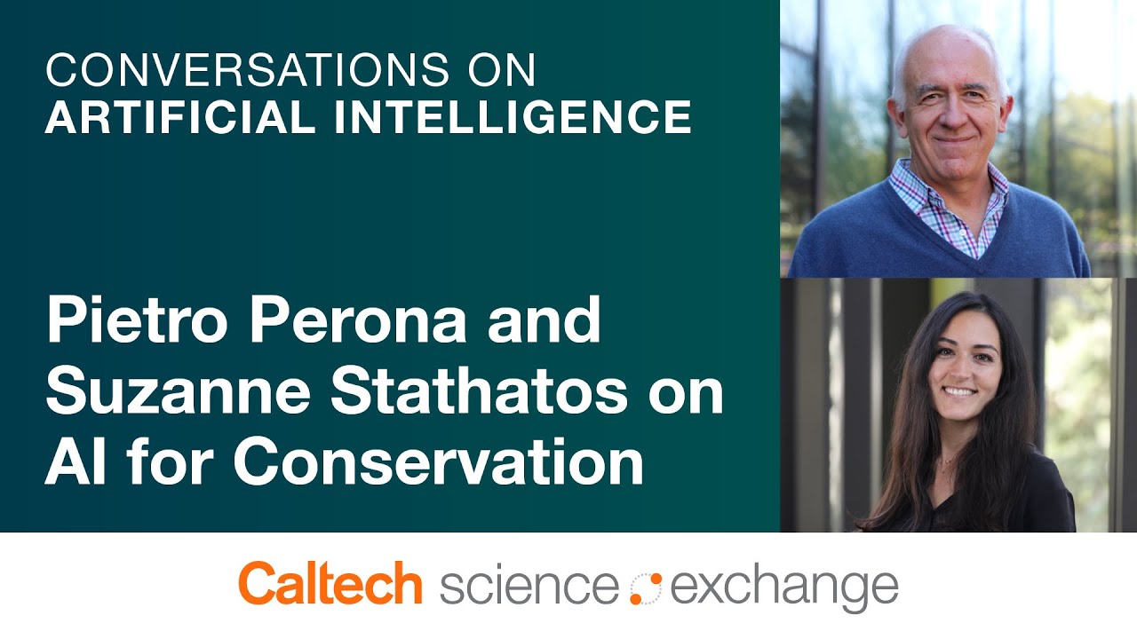 Using Artificial Intelligence for Wildlife Conservation