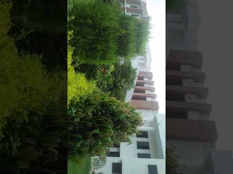 ISDC COLLEGE PRAYAGRAJ :#SHORTS ##VIDEOS