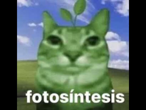 Steam Community :: Video :: ULTRAKILL | 7-3 Any% in 50.445