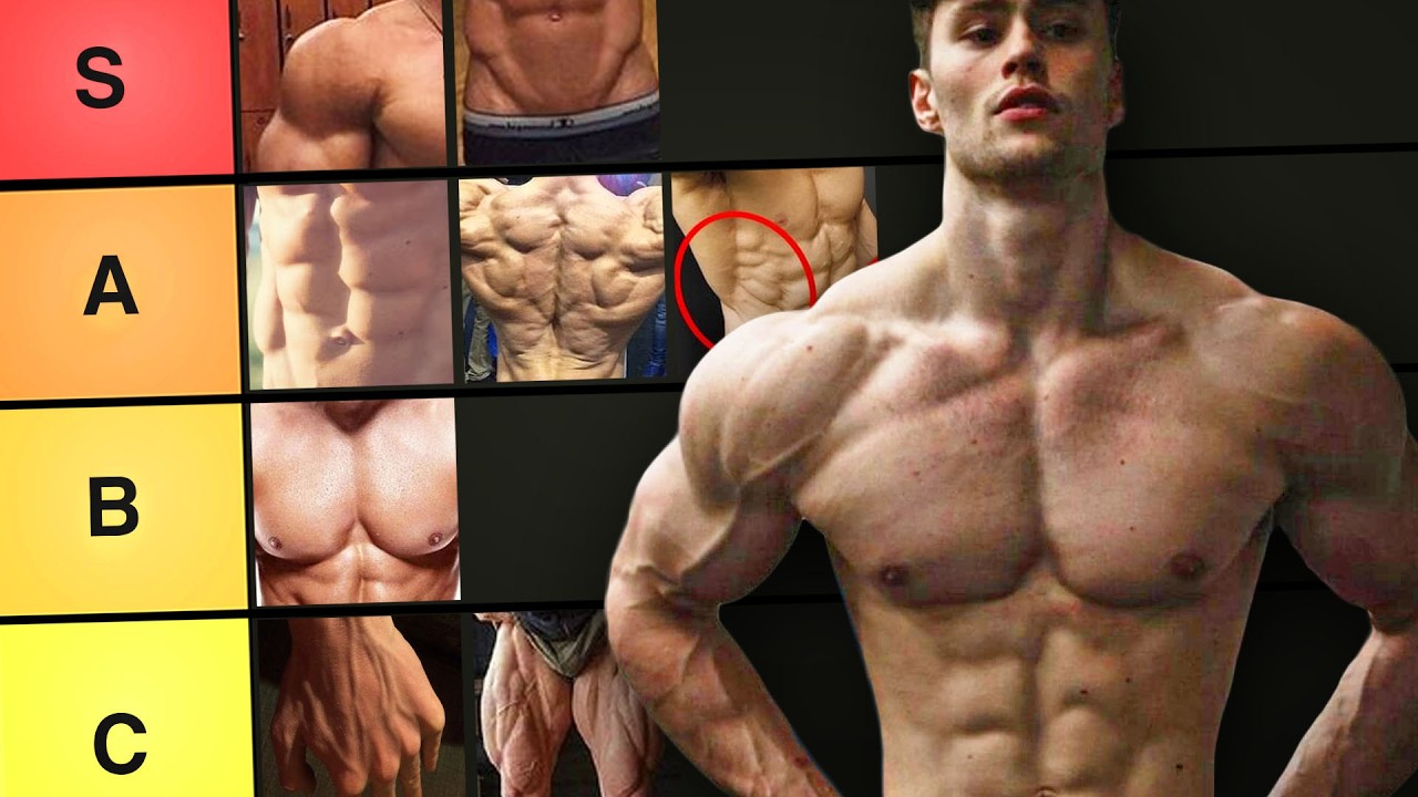 Most Attractive Muscle Groups (TIER LIST)