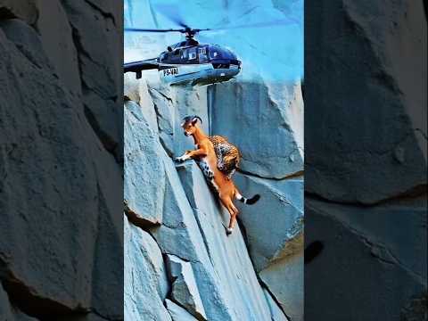 "Tree Top Terror: Tigers Attack Goats" πππ±ππ₯ #viralshort