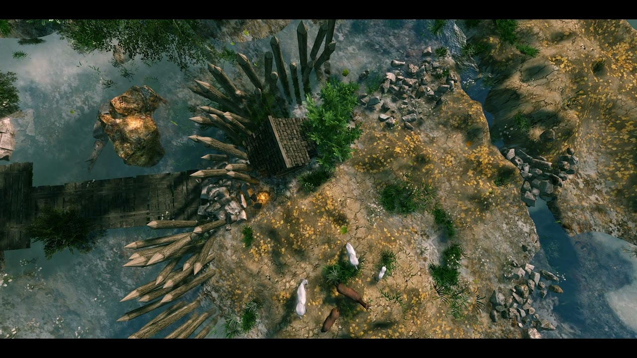 Battlemap Loop Day Morning Swamp