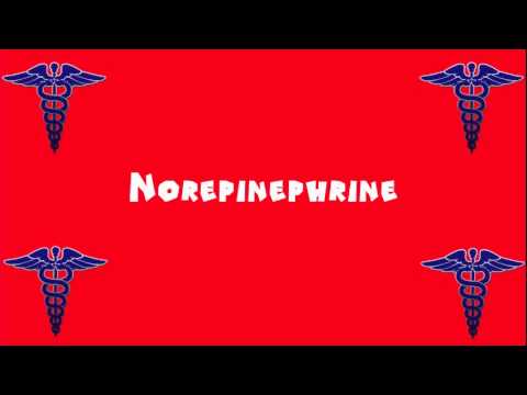 Pronounce Medical Words ― Norepinephrine
