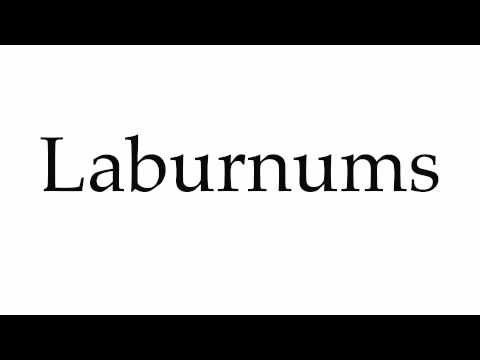 How to Pronounce Laburnums