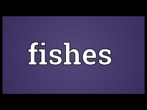 Fishes Meaning