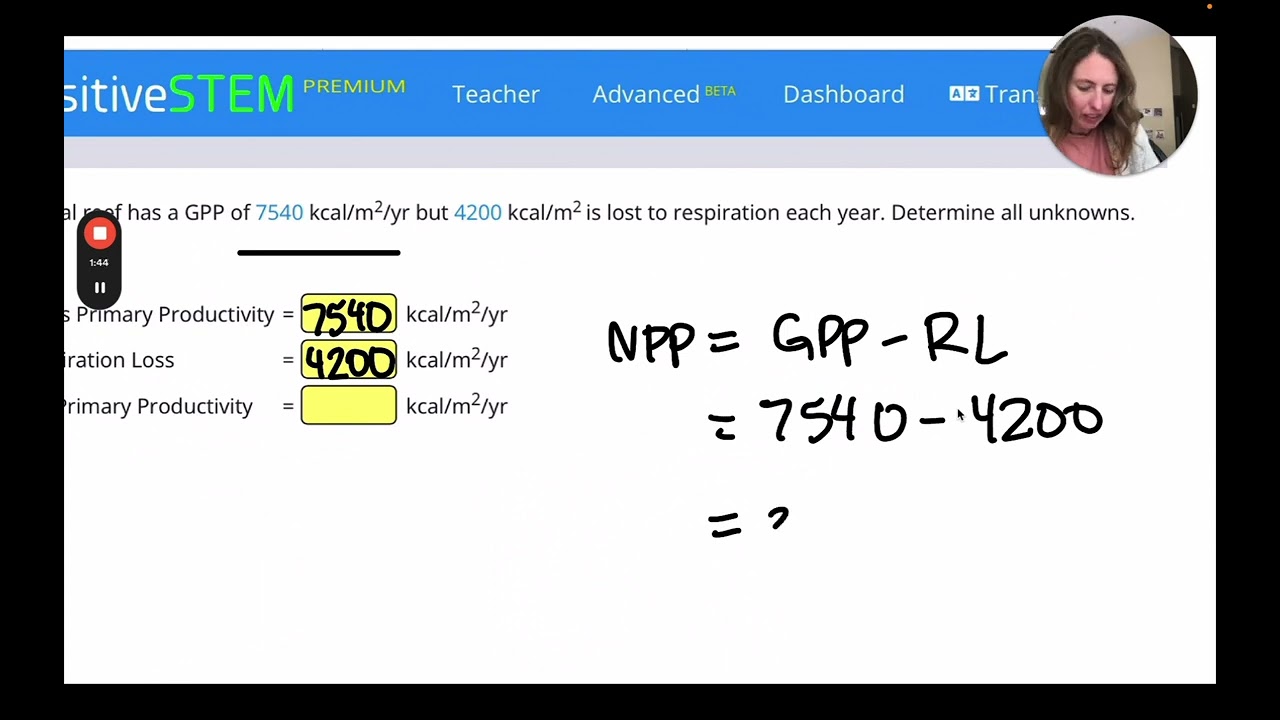 Net Primary Productivity Calculations