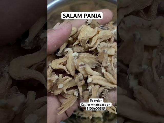 Ayurvedic Herbs - Salam Panja Dactylorhiza Hatagirea Wholesale Trader ...