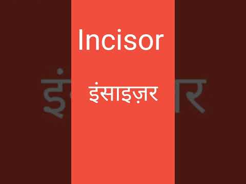 Incisor pronunciation with hindi meaning