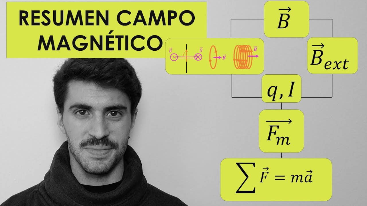 Campo Magnético y Magnetismo de Física 2 Bachillerato Resumen Completo Para Sacar el 10 | FísicaPRO