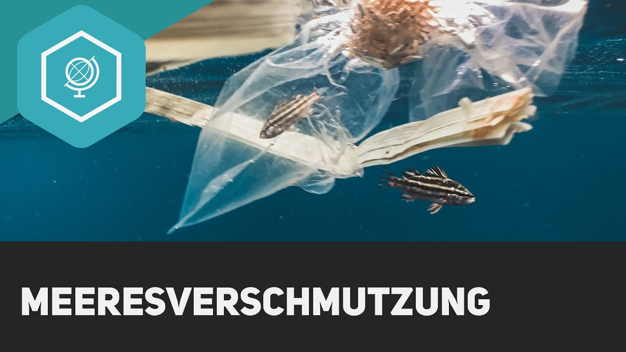 Meeresverschmutzung
