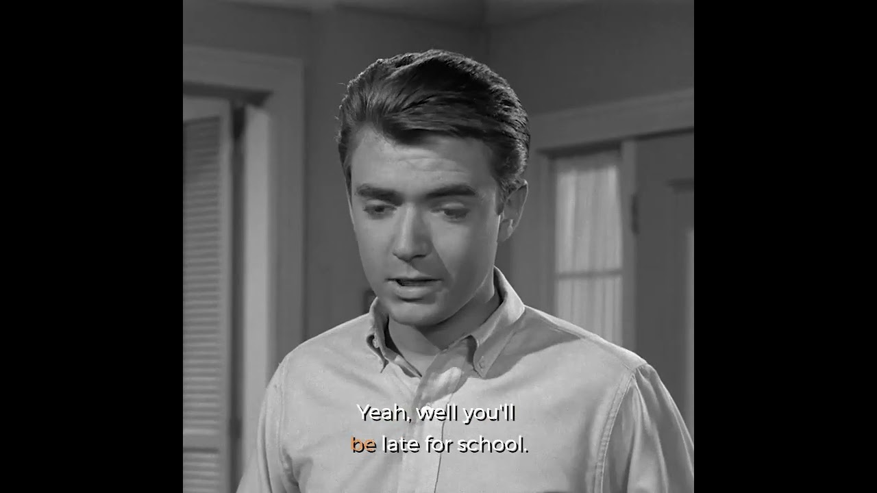 Best of Tim Considine | My Three Sons