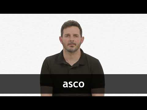English Translation of “ASCO” | Collins Spanish-English Dictionary