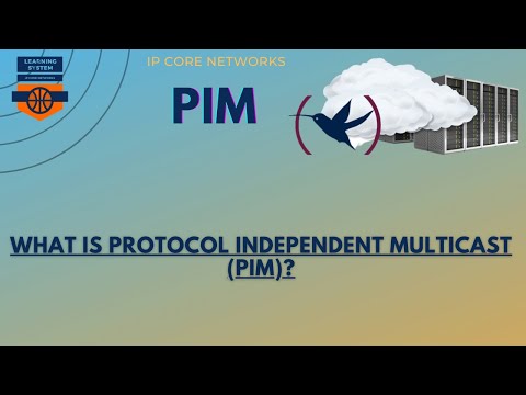What is Protocol Independent Multicast (PIM)? | 7.2 #ENCOR (350-401) MULTICAST PROTOCOLS #CCNP