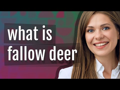 Fallow deer | meaning of Fallow deer