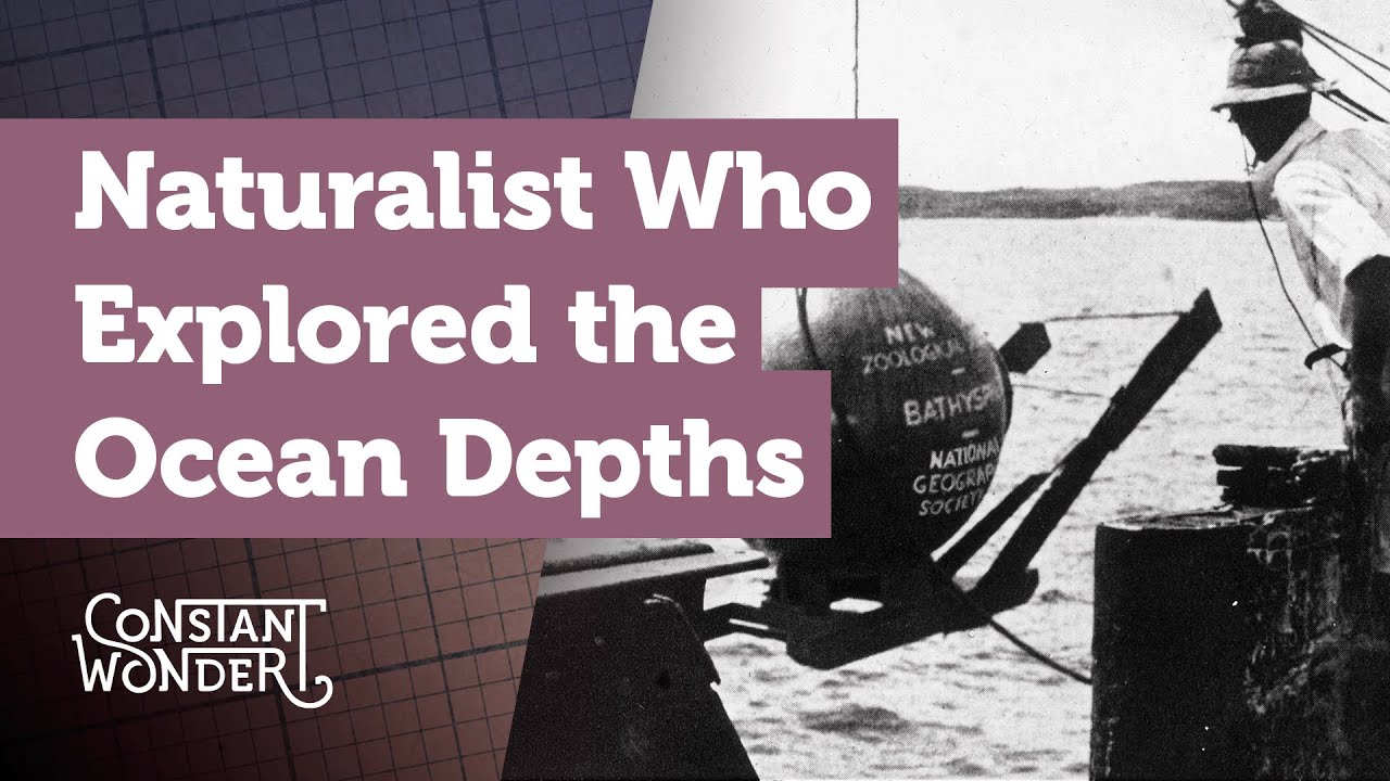 The Curious Naturalist Who Plumbed the Ocean Depths | Constant Wonder S5 E7