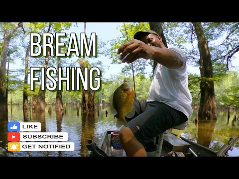 Bream Fishing at Pereogeethe Lake