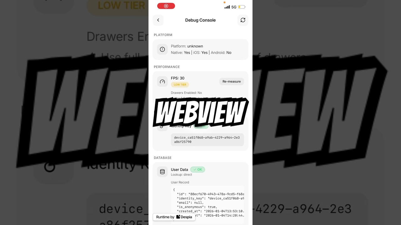 How FAST are WebView Apps?