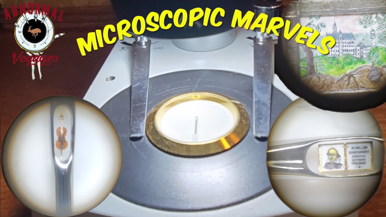 All The Small Things - (Micro Masterpieces Gallery in St. Augustine, Florida)