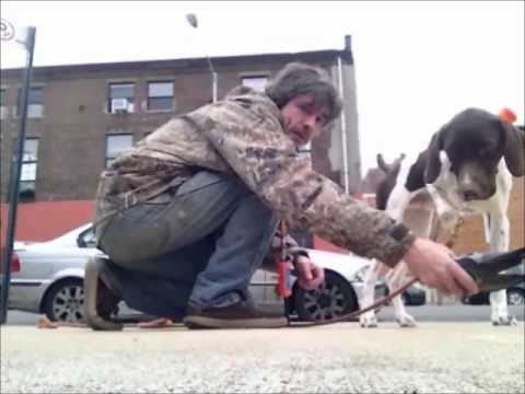 Teach Pointer to point
