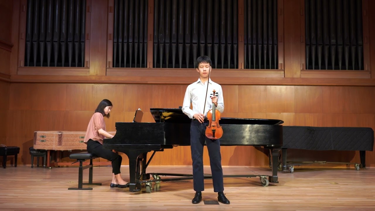 Sibelius Violin Concerto in D minor, Op. 47, first movement