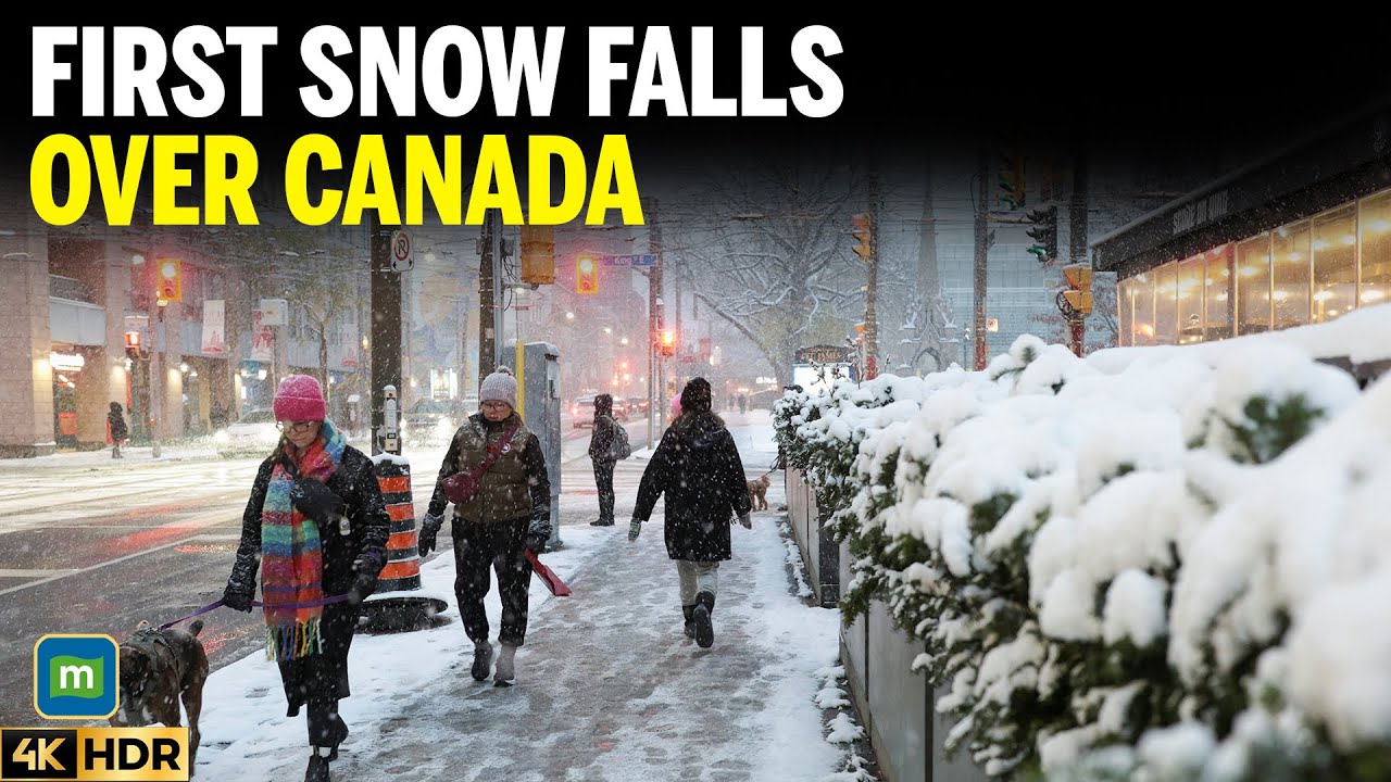 Toronto Experiences First Snowfall Of The Year | Stunning Winter Views