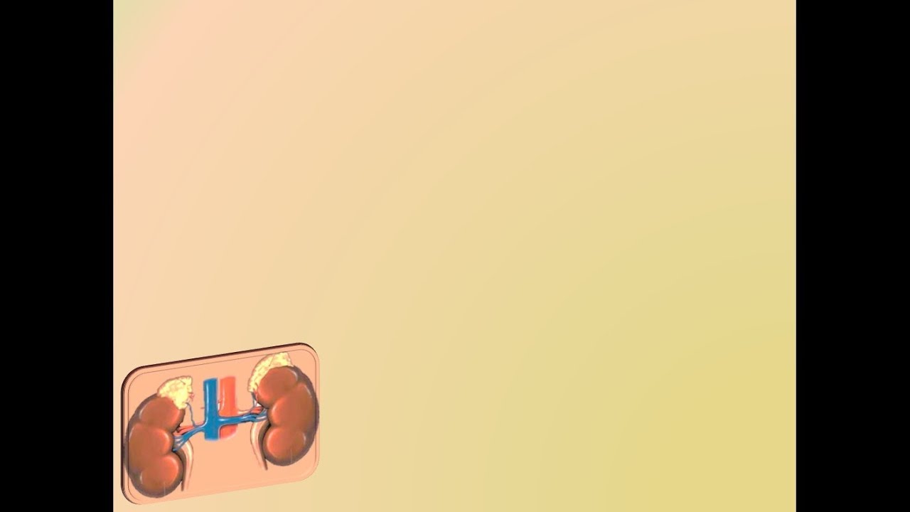 Animated Endocrinology PowerPoint Template