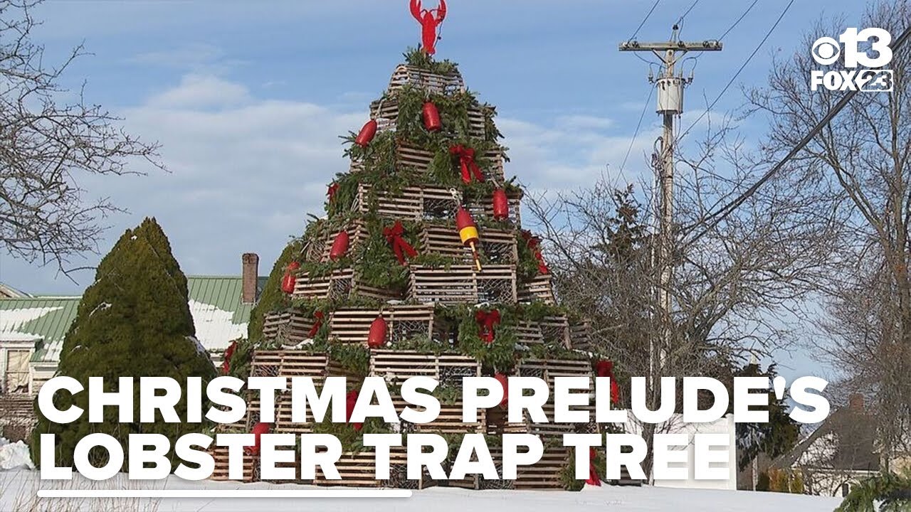 Lobster trap tree continues to honor Maine's fishing heritage