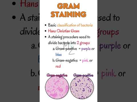 What is Gram Staining Procedure? #gramstaining #microbiology