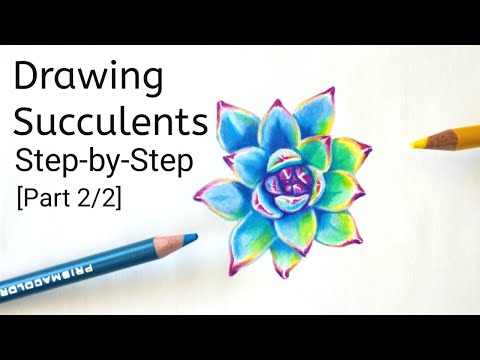 Easy succulent drawings with colored pencils [Part 2/2]  |  Doodles for beginners