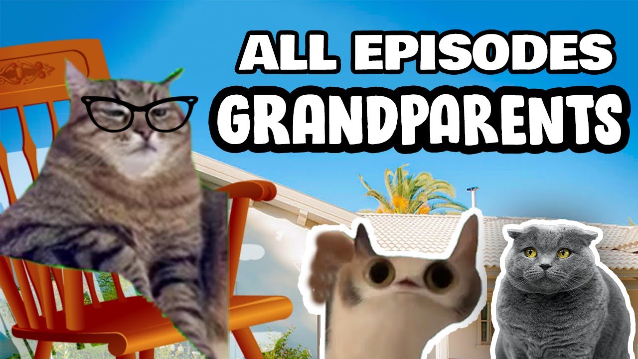 CAT MEMES: FAMILY VISIT COMPILATION