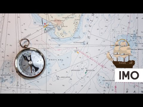 What Does IMO Mean | Word pronounce | English Speaking Practice | English | WordsClasses
