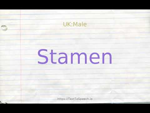 How to pronounce stamen