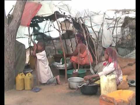 MaximsNewsNetwork: ASYLUM SEEKERS REPORT by U.N. REFUGEE AGENCY (UNHCR)