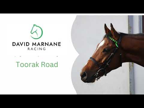 ThoroughBid | Toorak Road (IRE)